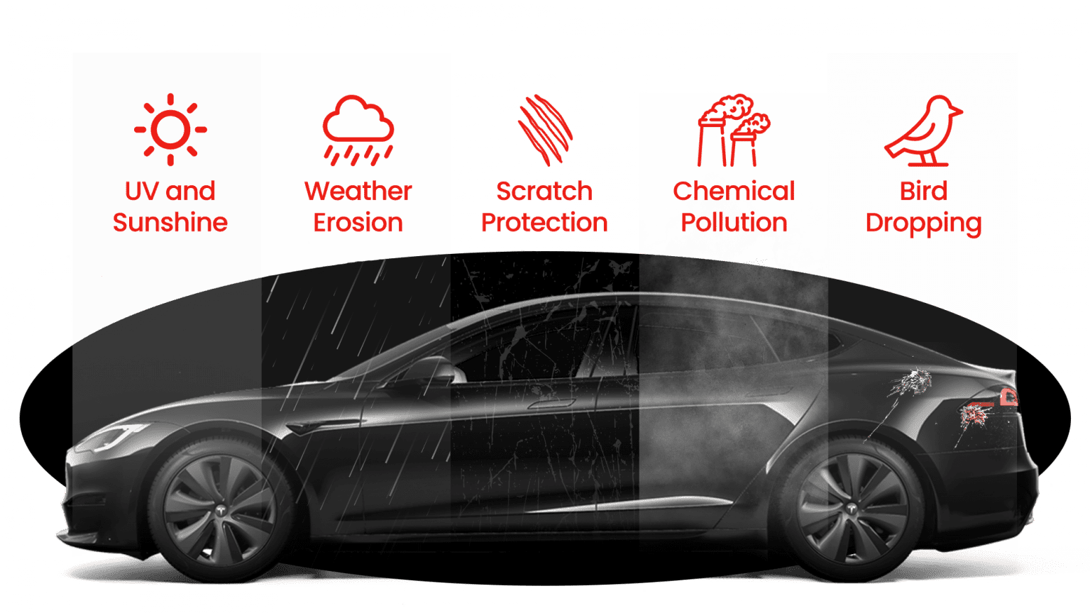 PPF | Tint | Ceramic Coat installers Near You